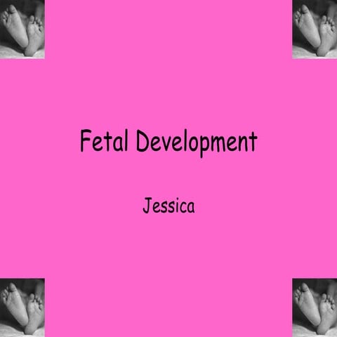 Fetal development powerpoint 2 | PPT
