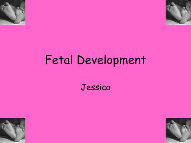Stages of fetal growth and development | PPTX