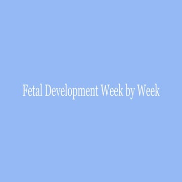 Fetal Development Week by Week | PPTX