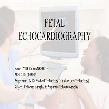 Labelled fetal heart ultrasound | PPTX