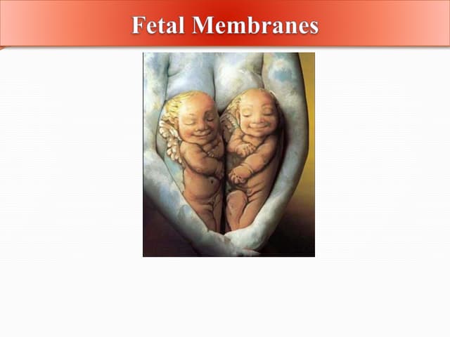 Extra embryonic membranes | PPT