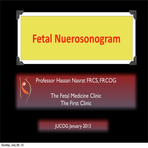 Fetal neurosonogram jucog feb 2013 | PDF