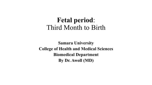 Stages of fetal growth and development | PPTX
