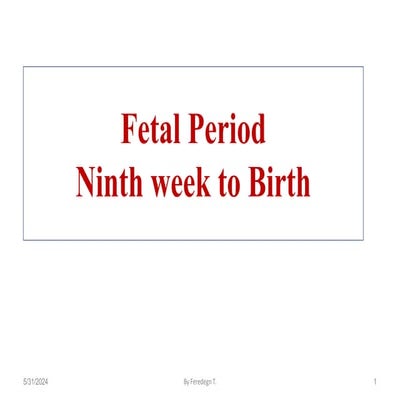 Fetal Period.pdfbvb.kjbk.jg.,mbfv.kbwmjvbkfb | PDF