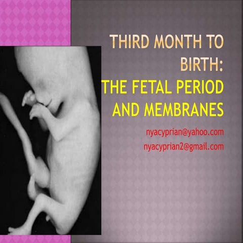 FETAL_PERIOD_AND_MEMBRANES(ANATOMY).pptx