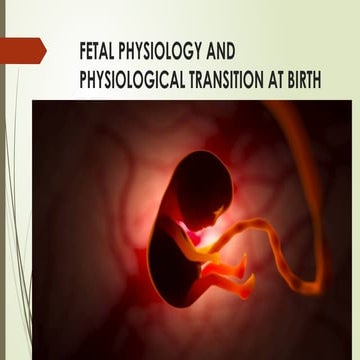 FETAL PHYSIOLOGY AND PHYSIOLOGICAL TRANSITION AT BIRTH.pptx
