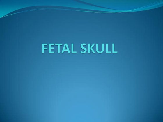 Decidua & Chorionic Velli (General Embryology) | PPT