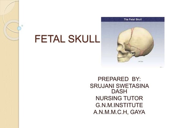 Fetal head diameters | PPT