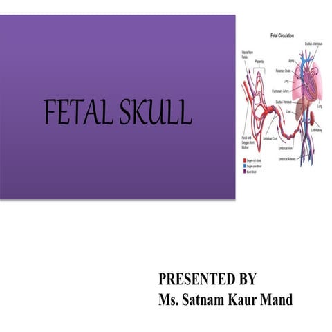 Fetal skull | PPT