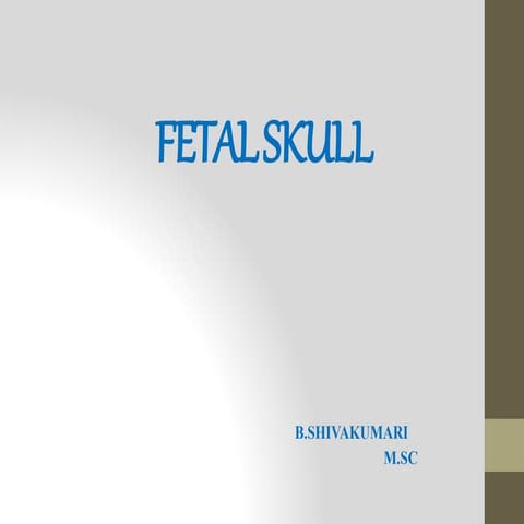 Fetal skull | PPT