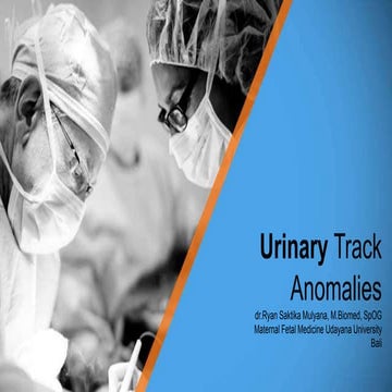 Fetal urinary tract ultrasound | PPTX