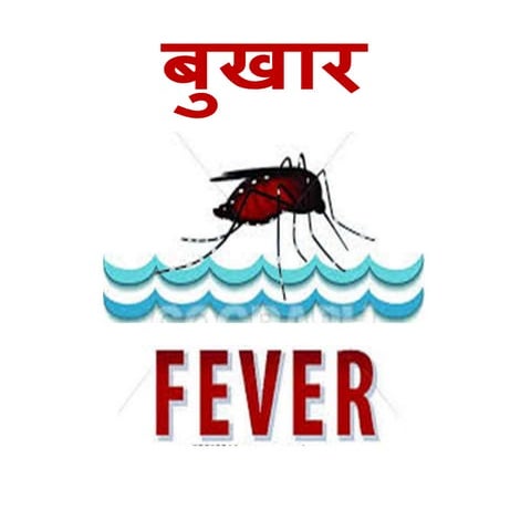 Fever | PDF