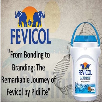 Fevicol Business Case Study by Pidilite .pptx
