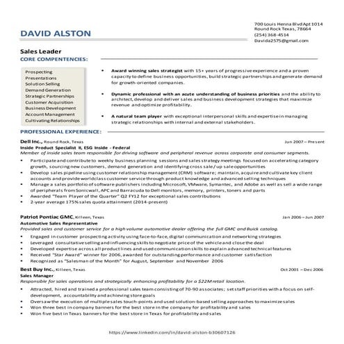 David J Bleeden- Exec.Background (2) | PDF