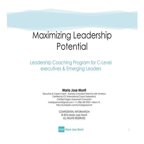 LeadershipCoachingLinkedin Slide | PDF