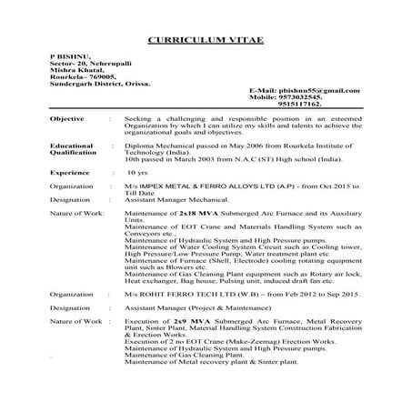 Bishnu_cv_ (1).PDF
