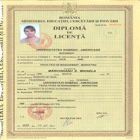 diploma licenta Mihaela | PDF