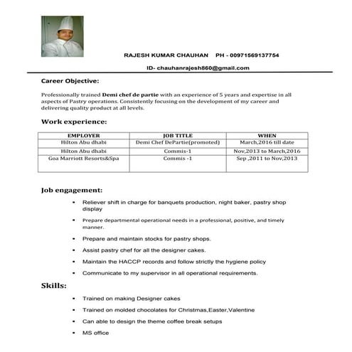 Rajesh kumar chauhan resume | DOC