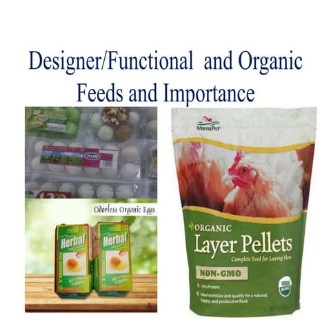 Designer/Functional and Organic Feeds and Importance | PPTX