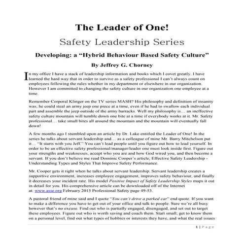 Total Respect Management - Towards sustainable safety and performance in organisations. | PPTX