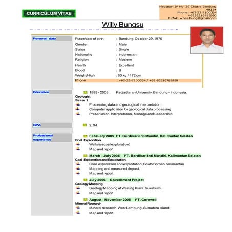 CV Willy Bungsu Sanadi | DOCX