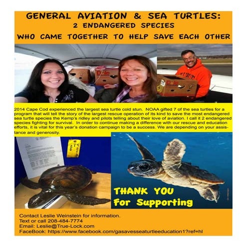 Sea Turtle Rescue Operation info | PDF