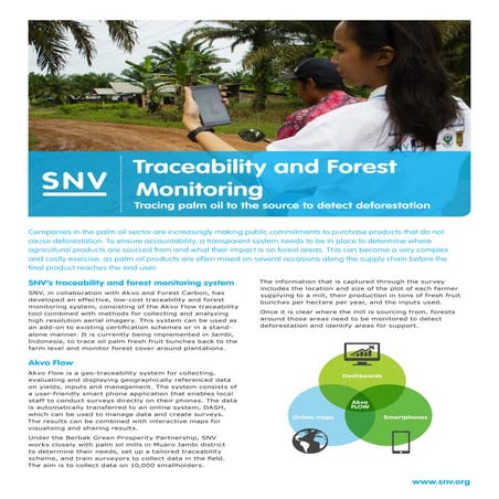 Traceability and Forest Monitoring | PDF