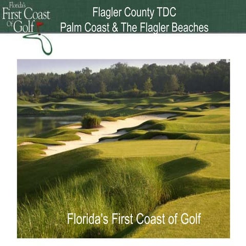 Ffcg _flagler_county_tdc_presentation | PPT