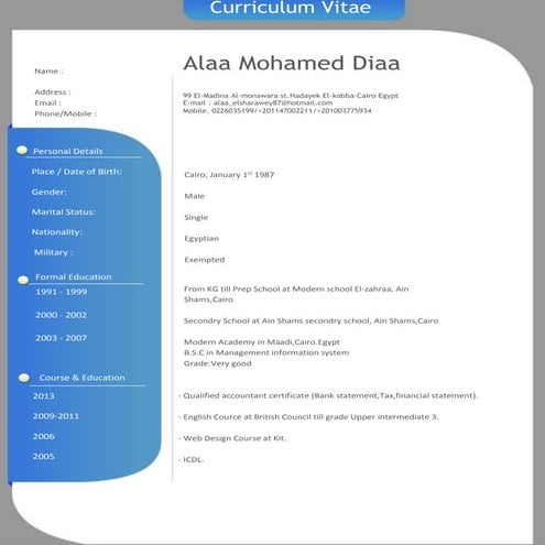 Alaa Elsharawey C.V | PDF