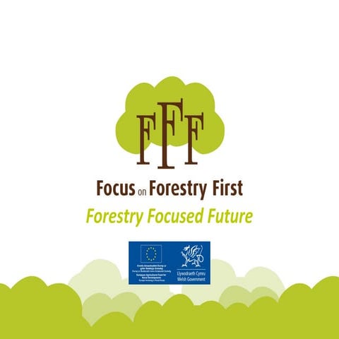 FFF Benificiary Presentation 2018 | PPT