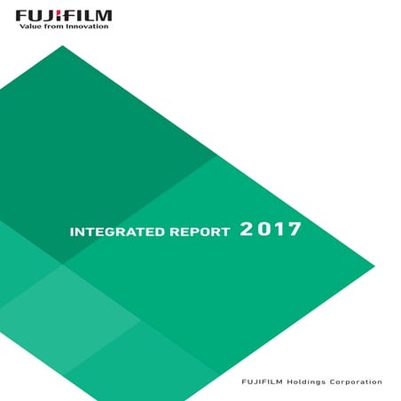 Integrated Report 2017 | PDF