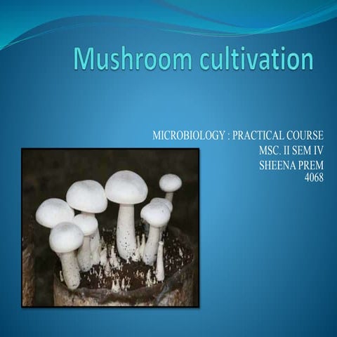 4068 mushroom cultivation | PPTX