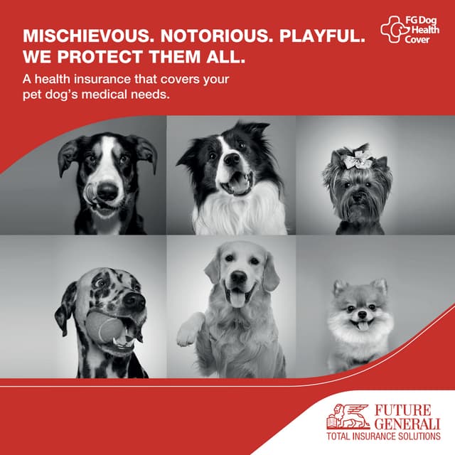 Future Generali Dog Health Cover - Mischievous. Notorious. Playful - We ...