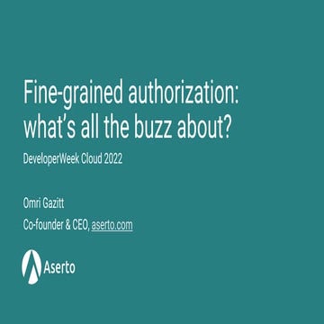 Fine-grained authorization: what's all the buzz about? | PDF