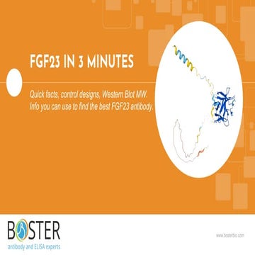 Learn FGF23 in 3 minutes | Fibroblast growth factor 23 | PPTX | Bone ...