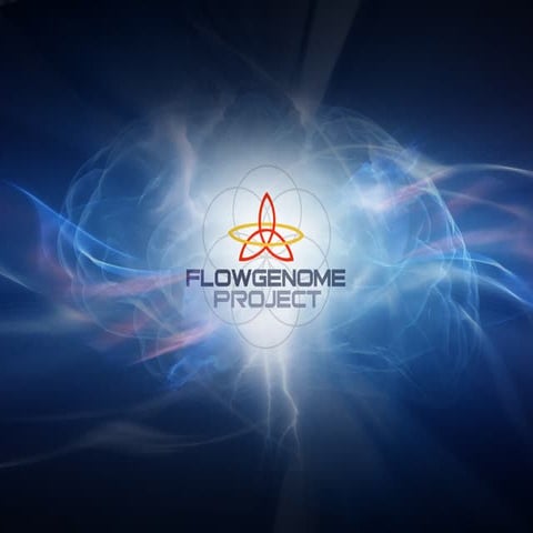 Flow Genome Project's Flow Dojo | PDF