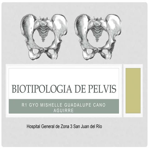 Anatomía de la pelvis femenina (Obstetricia) | PPTX