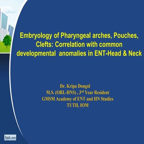 Pharyngeal_arches in otolaryngology .ppt