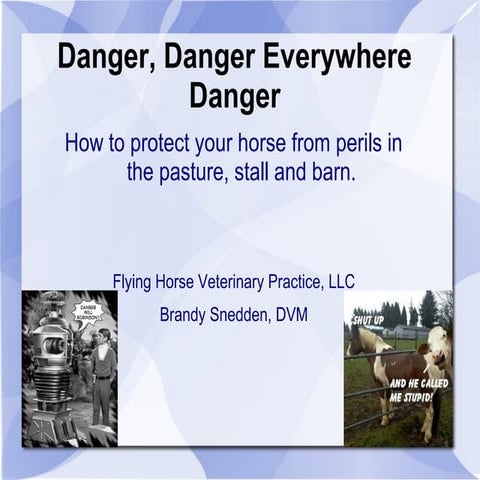 Danger, Danger Everywhere Danger | PPT