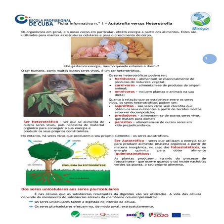 FI1 AutotrofiaVSHeterotrofiaA2.pdf