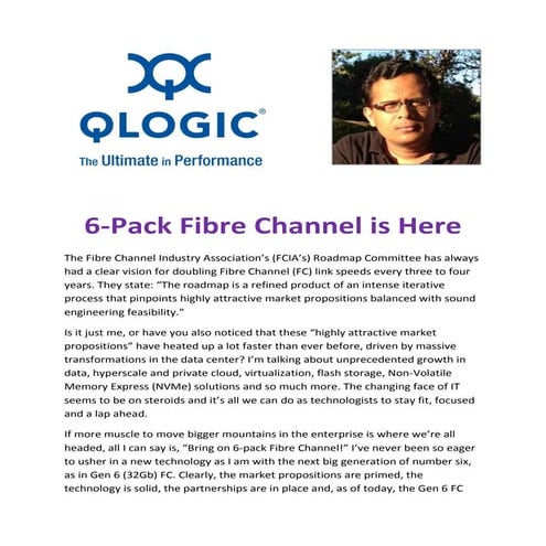 Fiber channel | PDF