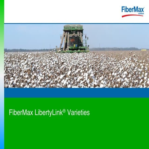 FiberMax Cotton - 2012 LibertyLink Varieties | PDF
