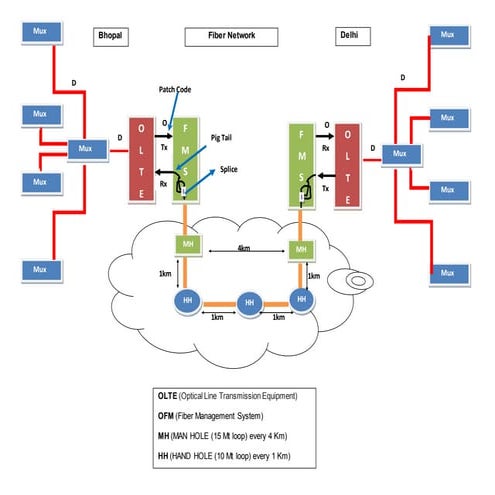 Fiber network | DOCX