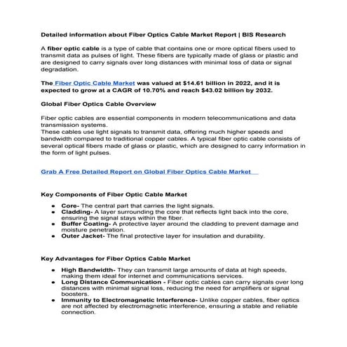 Fiber Optics Cable Market Report - 18 September 2024 .docx