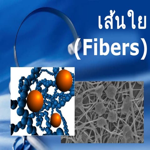 Fibers | PPT