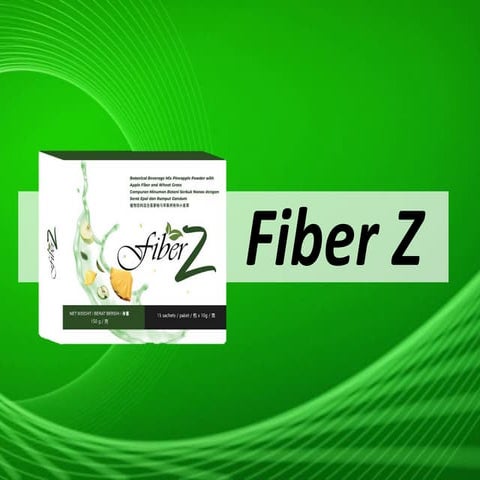 Fiber Z (CH).pdf