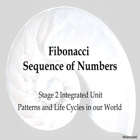 Fibonacci | PPT