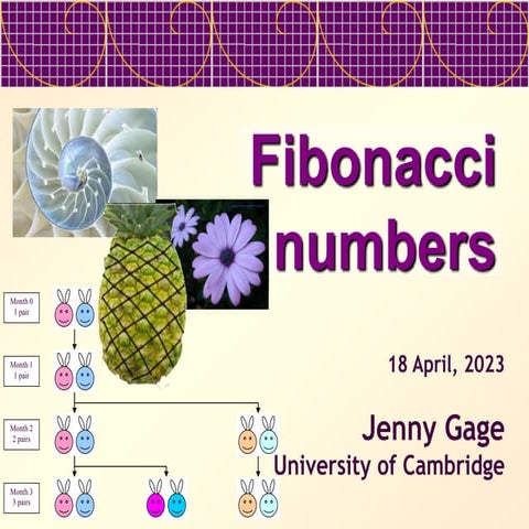 Fibonacci-Feb10.ppt