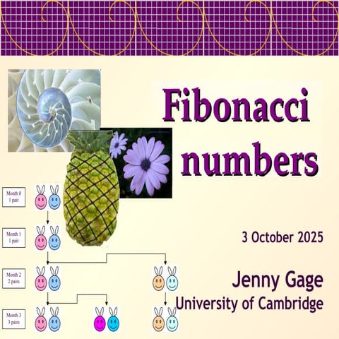 A PPT about Fibonacci Series in Modern Mathematics | PPT