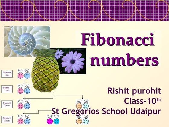 Fibonacci sequence | PPT